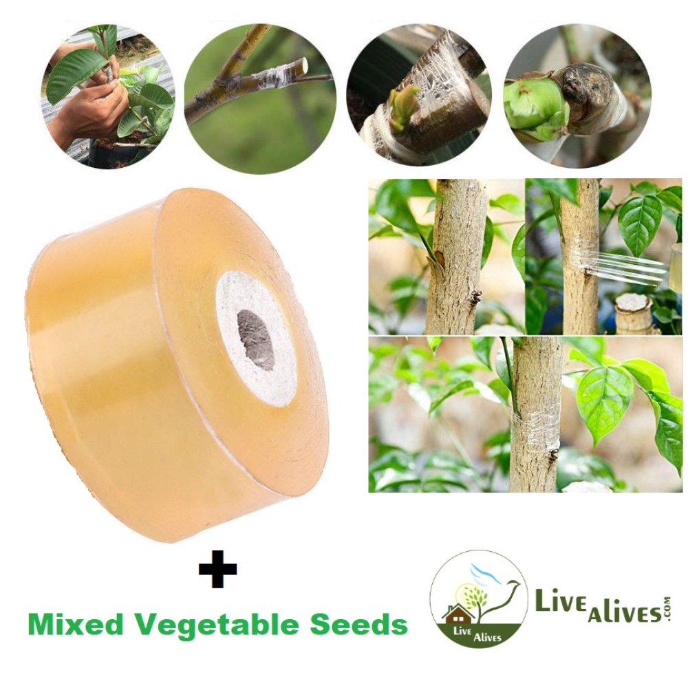 100 Meter - 3 Inch Grafting Stretchable Tape for Nursery and Garden ...